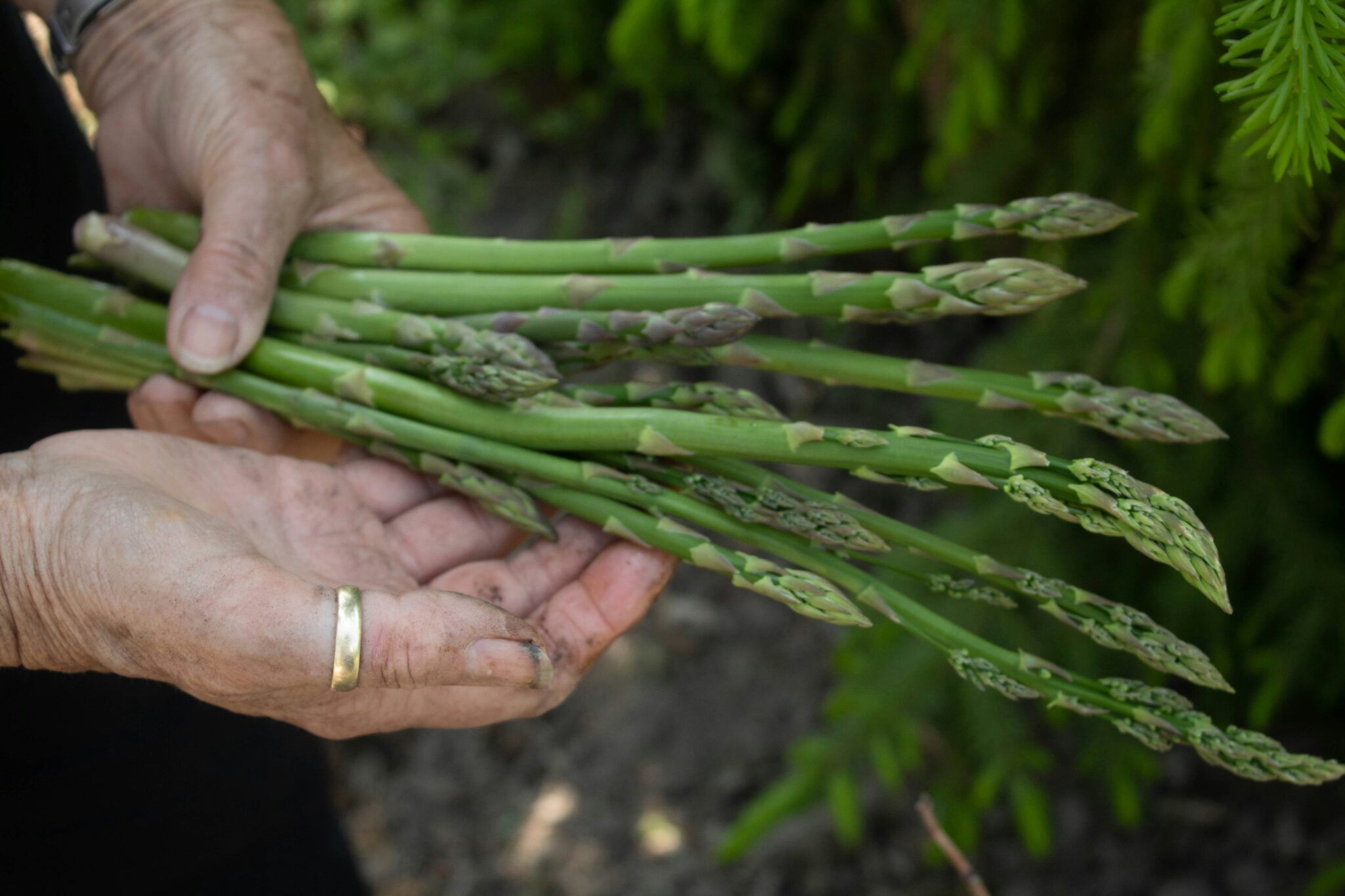 Are There Specific Foods That Can Cause Strong-smelling Urine? - Smelly ...